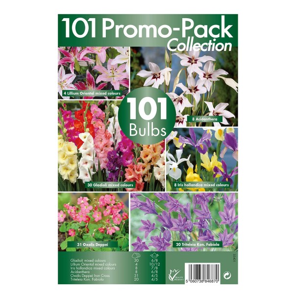 101 Bulbs Promo Pack Collection Summer Flowering Varieties Mixed Colour