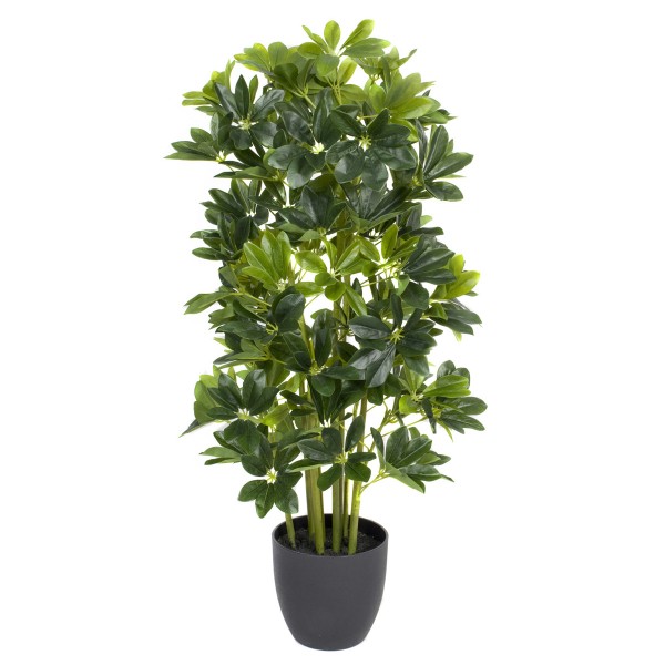 Artificial Schefflera Umbrella Plant in Black Pot 95cm/3ft